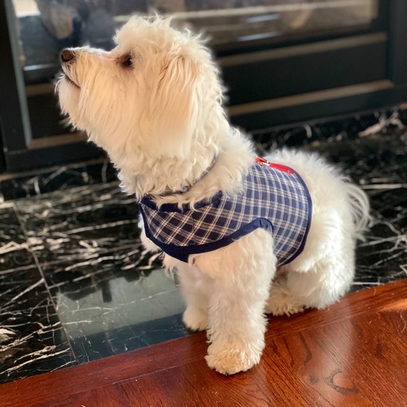 Other | Adorable Custom Dog Harness Handmadenew | Poshmark